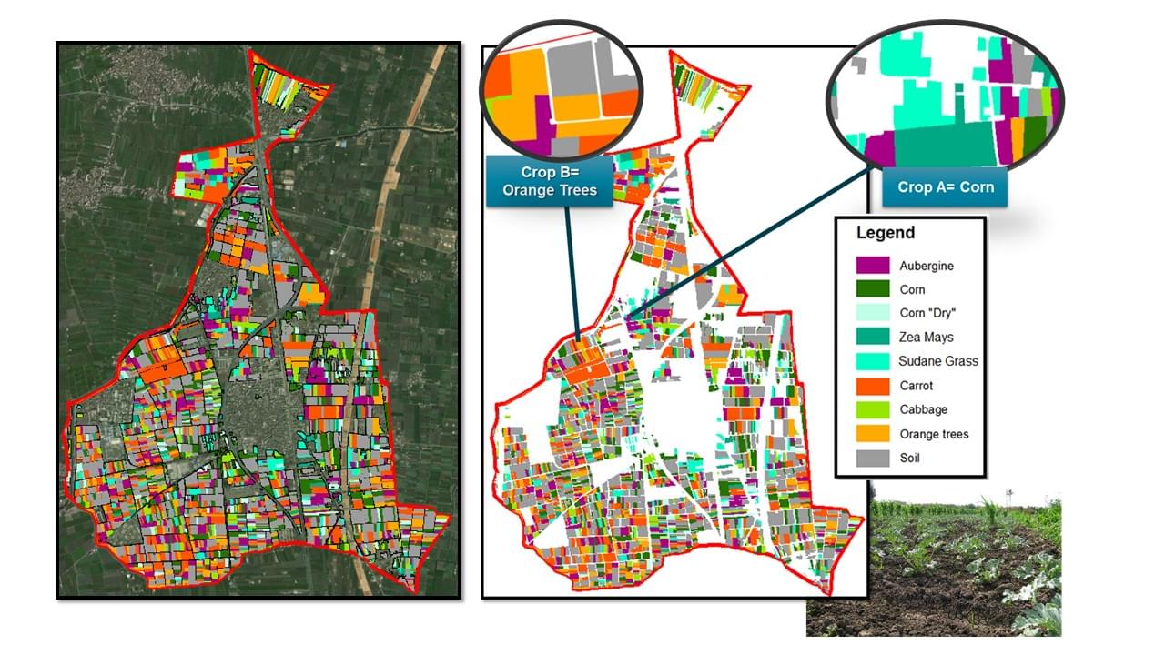 Crop Monitoring | Edge Pro